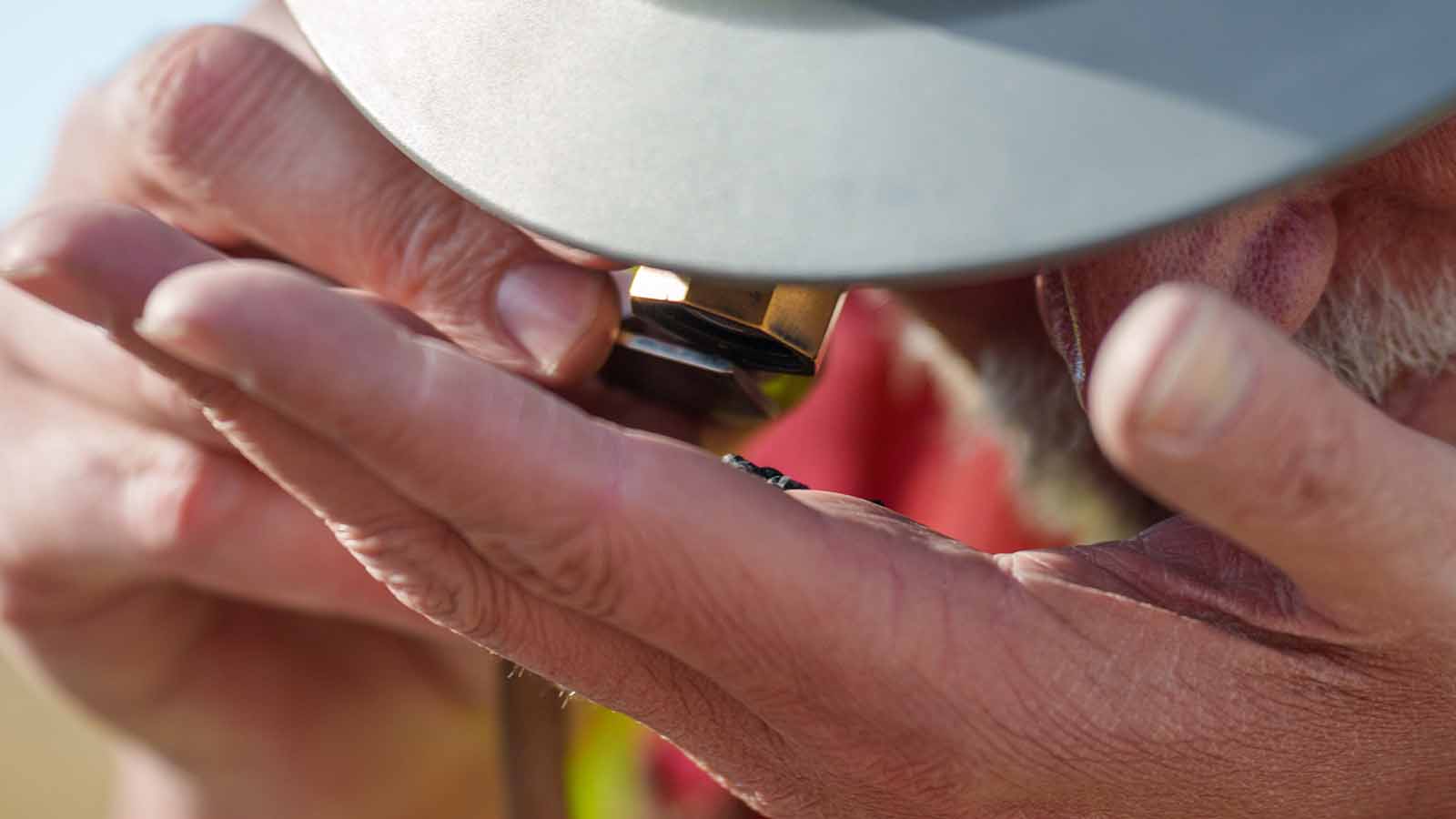 Barrick Gold Corporation - Focus on Tier One Assets Delivers ...