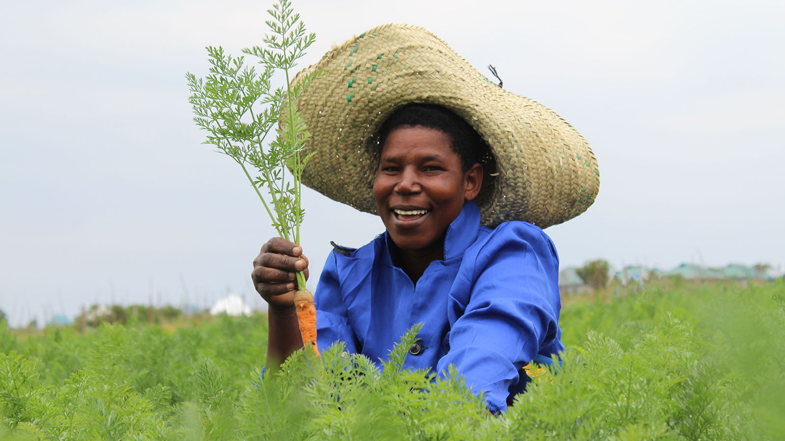 Barrick Mining Corporation - Sowing the Seeds of Ambition at North Mara ...
