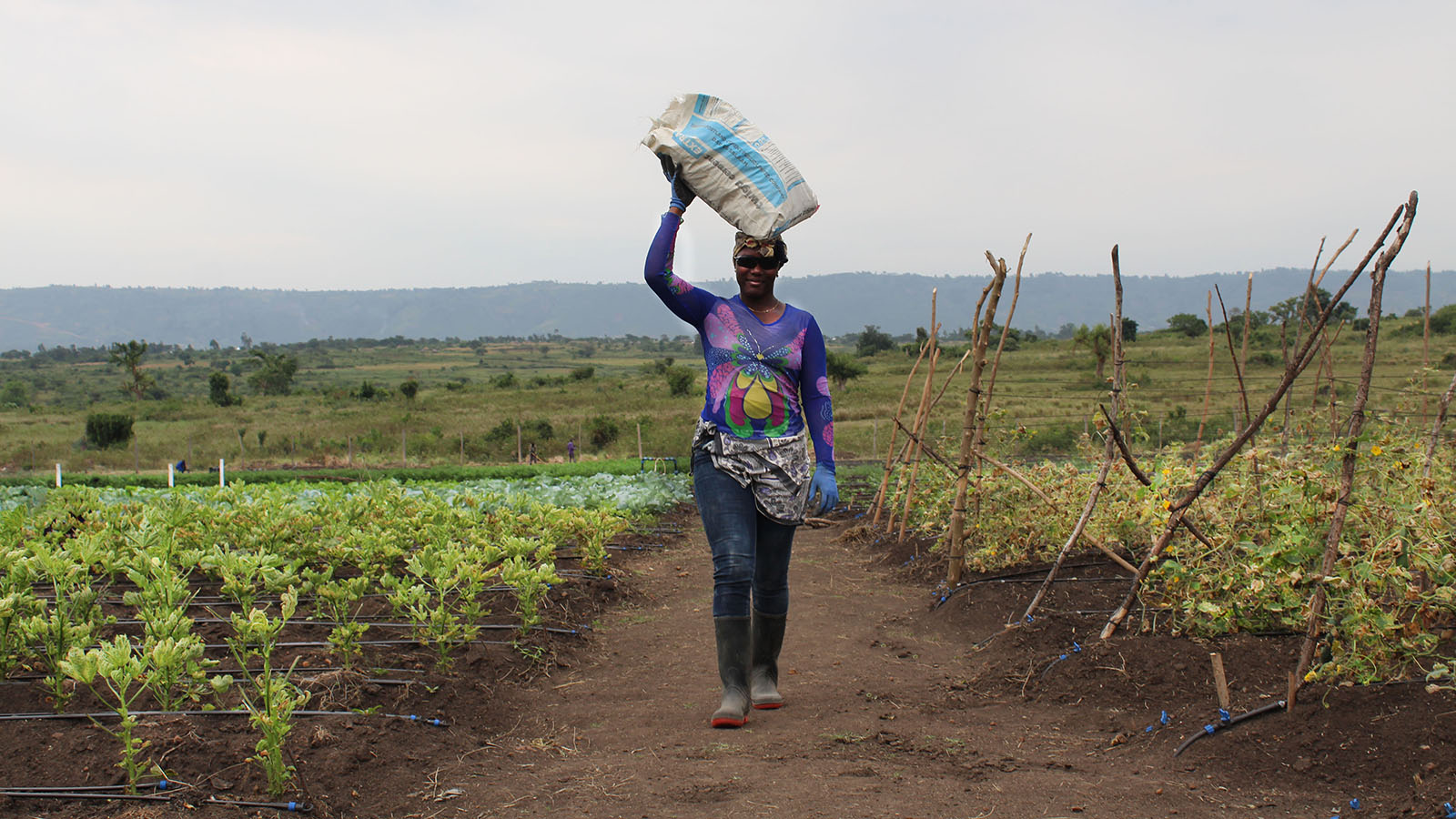 Barrick Mining Corporation - Sowing the Seeds of Ambition at North Mara ...